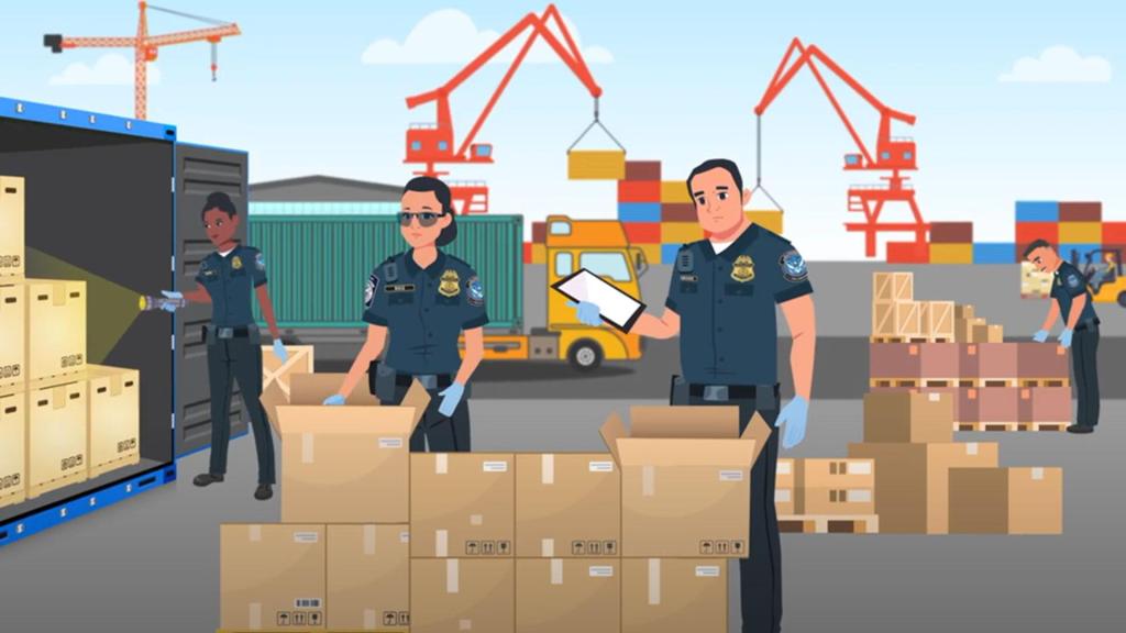 what causes a customs inspection